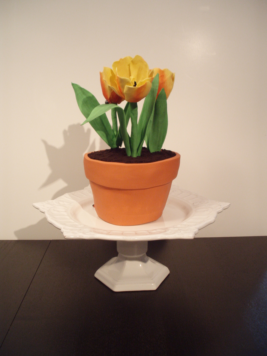 Tulip Cake - CakeCentral.com