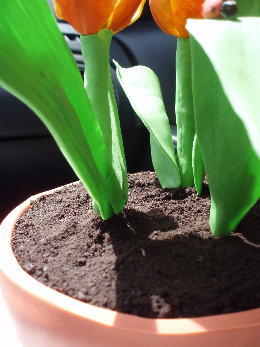 Tulip Cake - CakeCentral.com