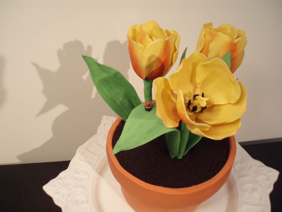 Tulip Cake - CakeCentral.com