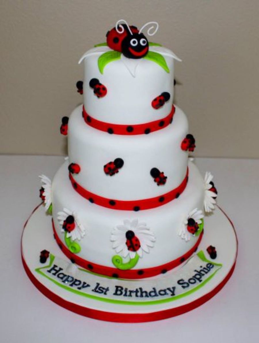 Ladybug Cake - CakeCentral.com