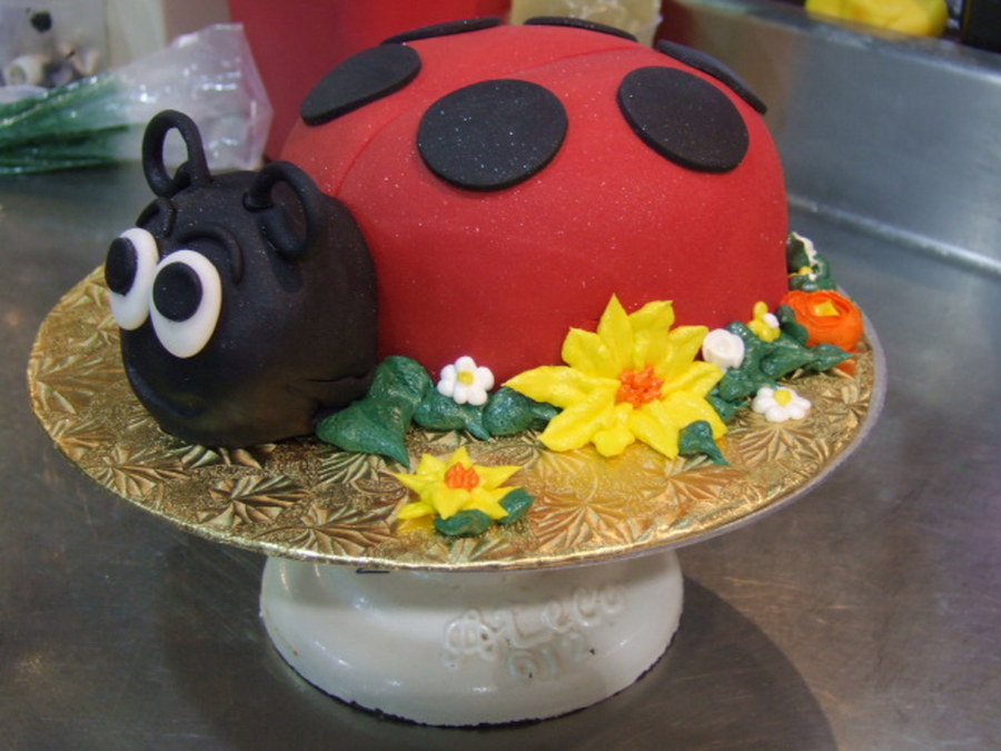 Lady Bug - CakeCentral.com