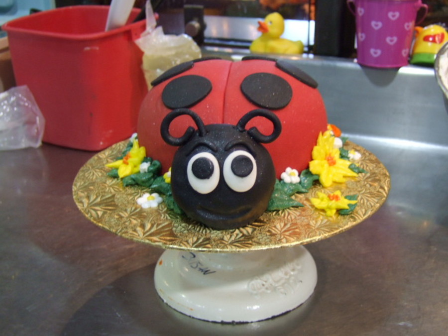 Lady Bug - CakeCentral.com