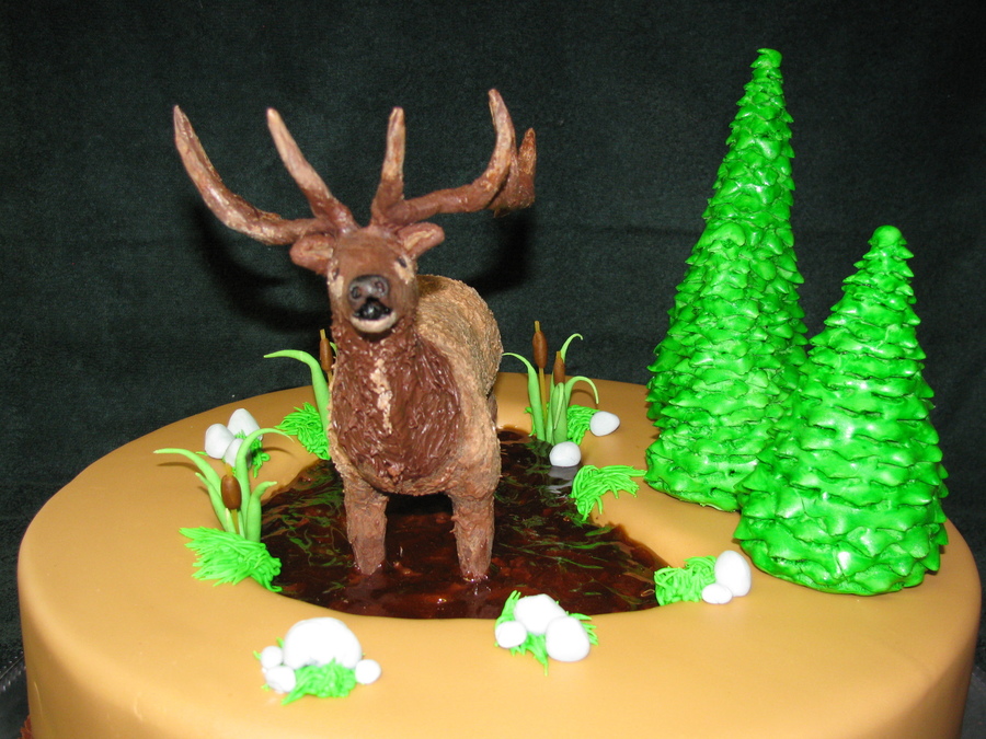 Elk Wallow Cake - CakeCentral.com
