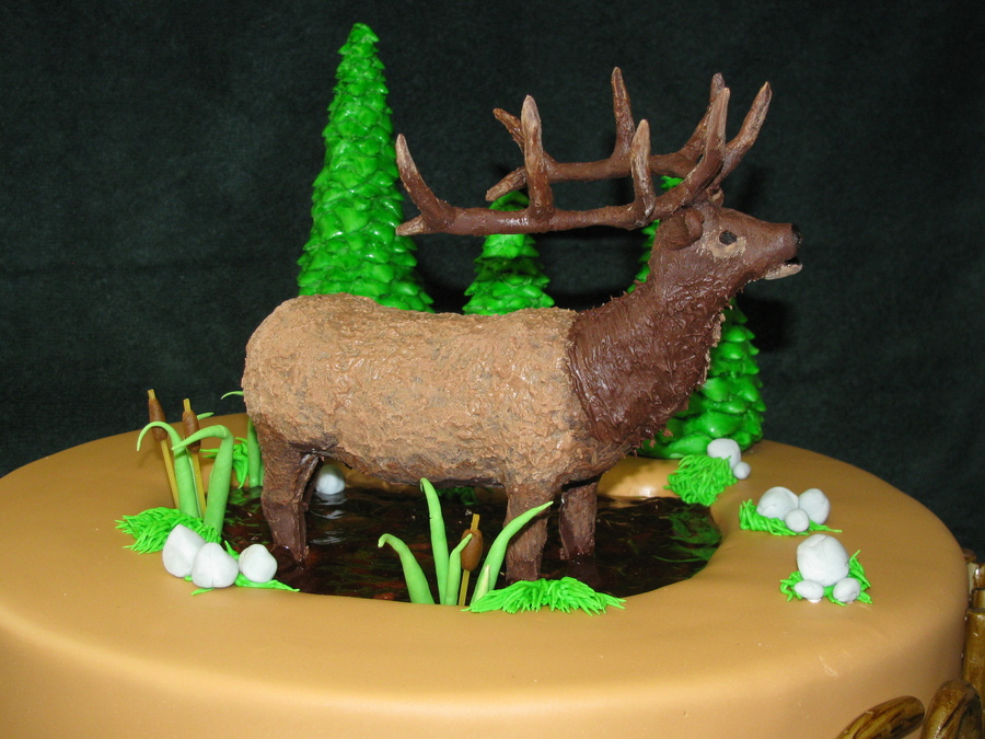 Elk Wallow Cake - CakeCentral.com