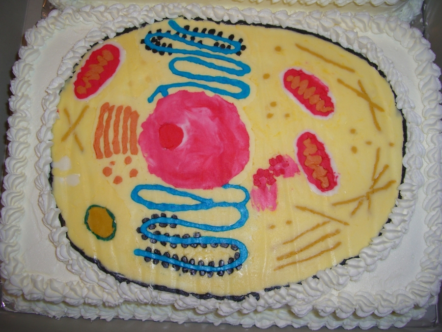Cross Section Of An Animal Cell - CakeCentral.com