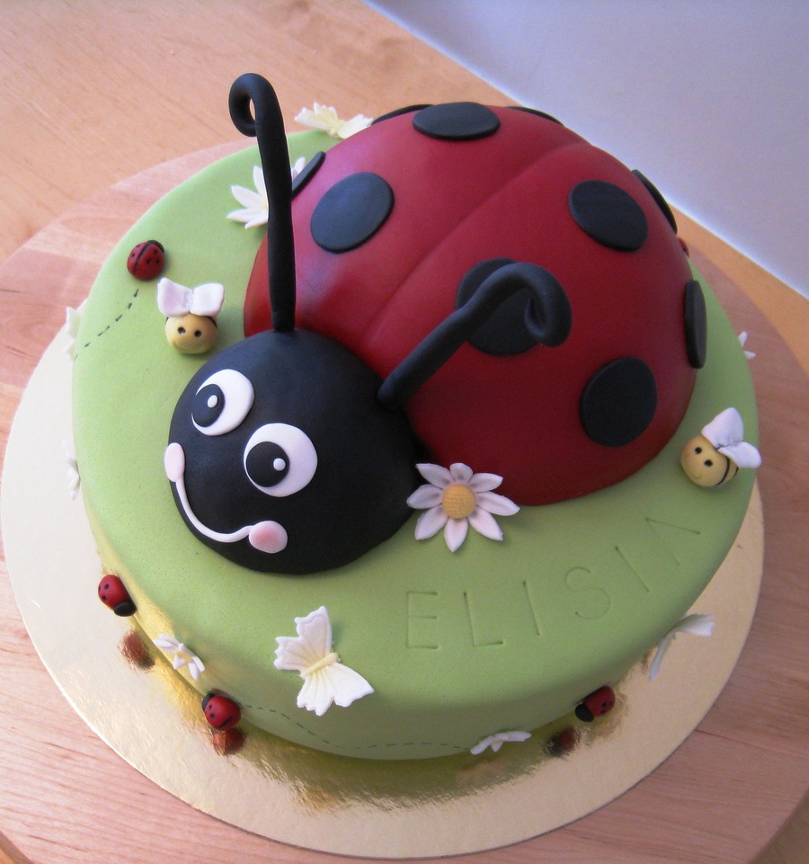 Ladybird Cake - CakeCentral.com
