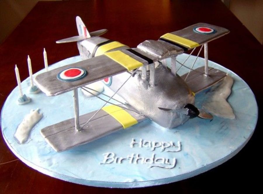 Tiger Moth Plane - CakeCentral.com