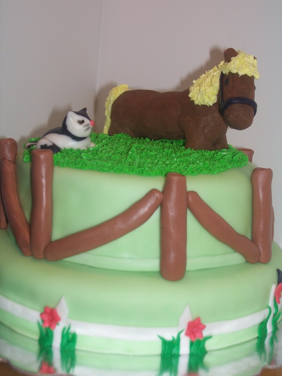 Pony Cake - CakeCentral.com