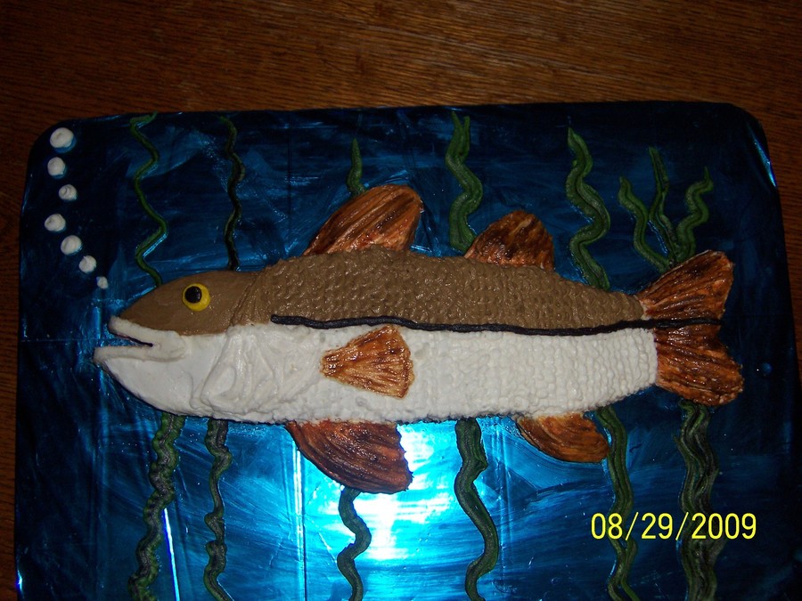 Snook Cake - CakeCentral.com