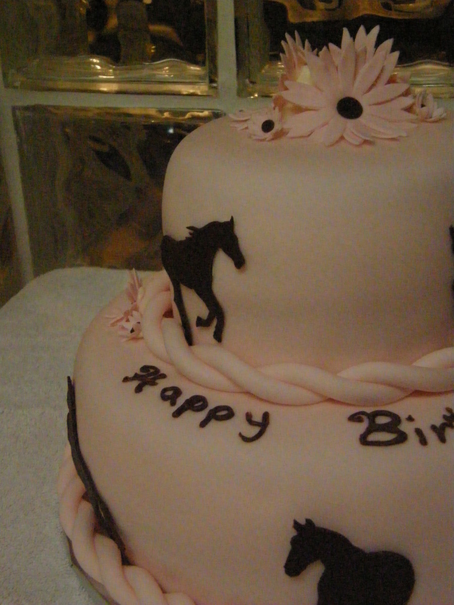Wild Horses - CakeCentral.com