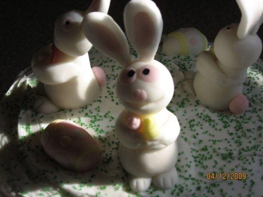 Easter Bunny Cake - CakeCentral.com