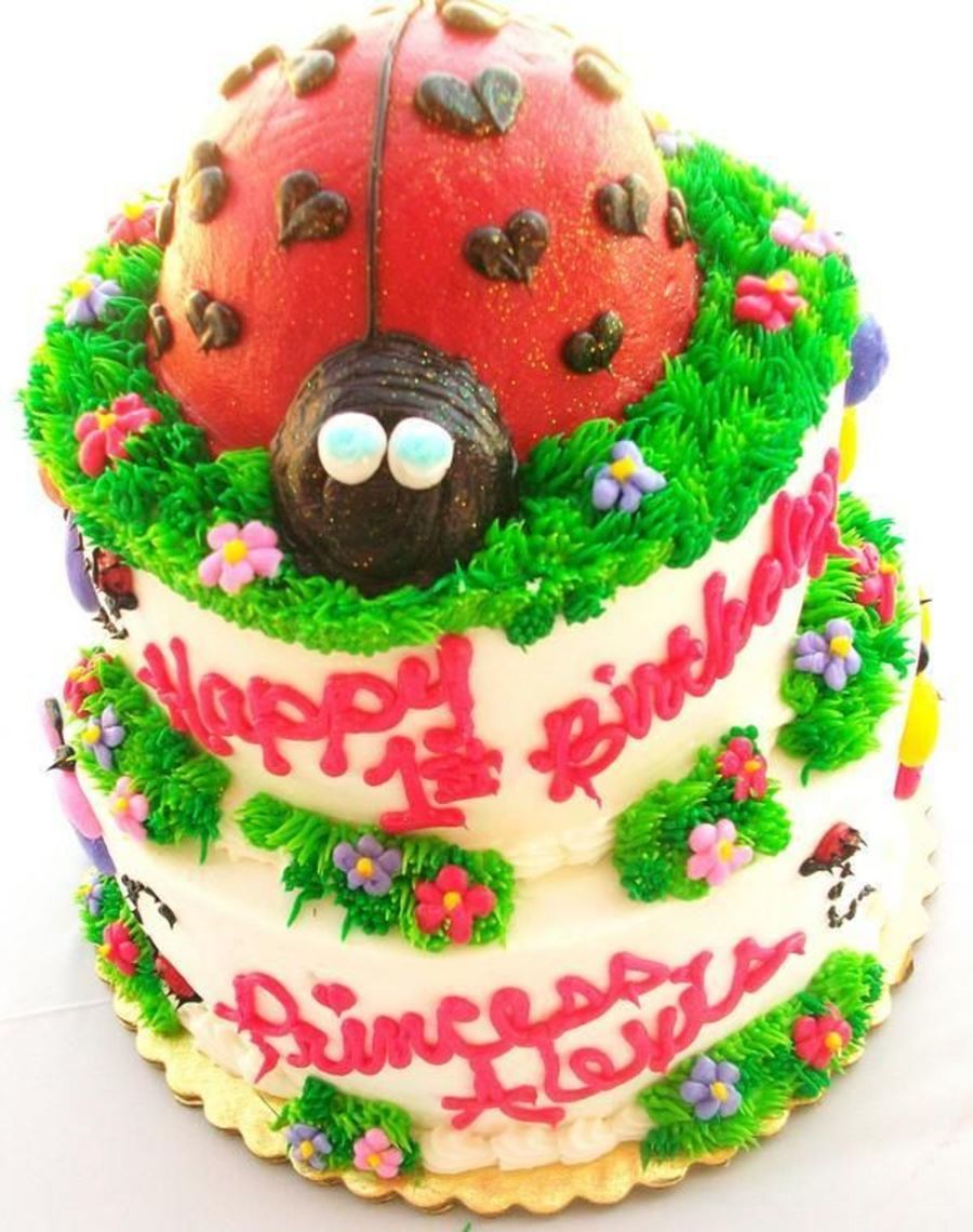 Lady Bug Cake - CakeCentral.com