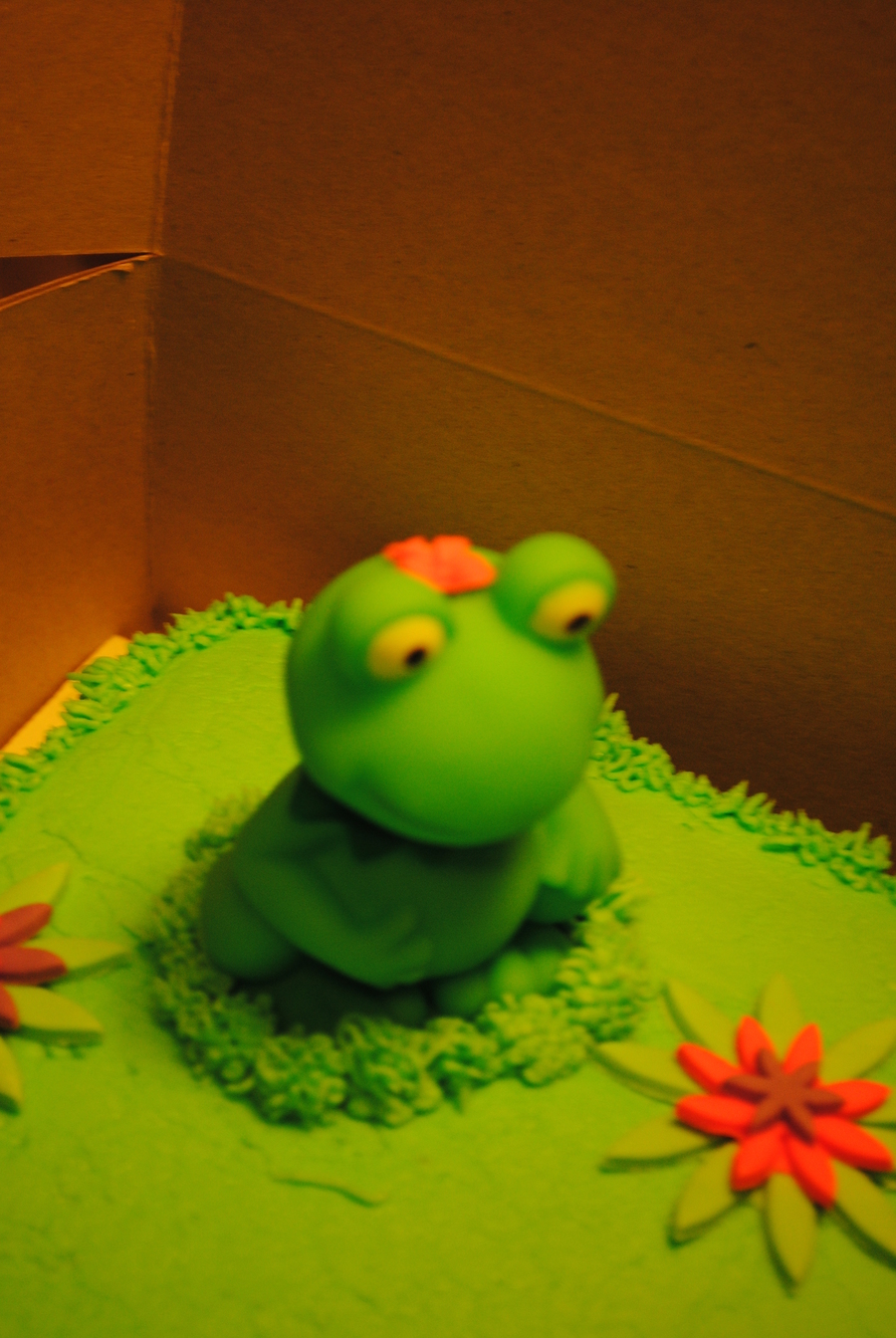 Froggy Cake! - CakeCentral.com