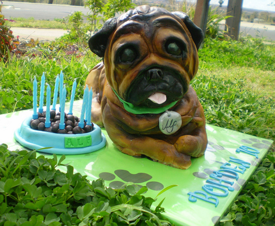 Pug Cake - CakeCentral.com