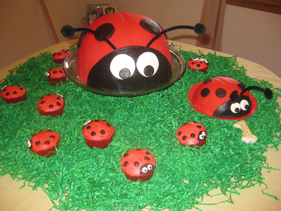 Ladybug Cakes - CakeCentral.com