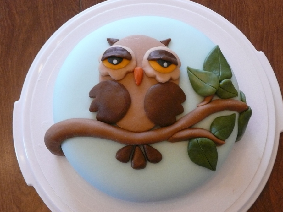 Owl Cake! - CakeCentral.com