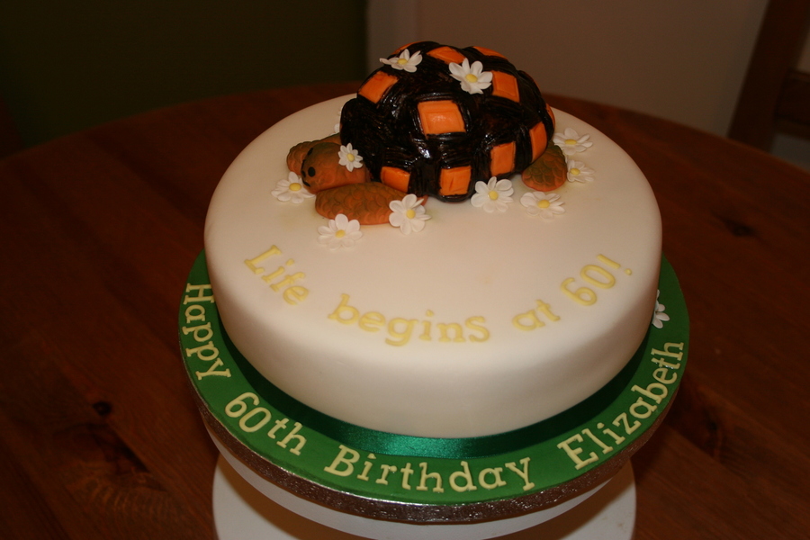 Tortoise Cake! - CakeCentral.com
