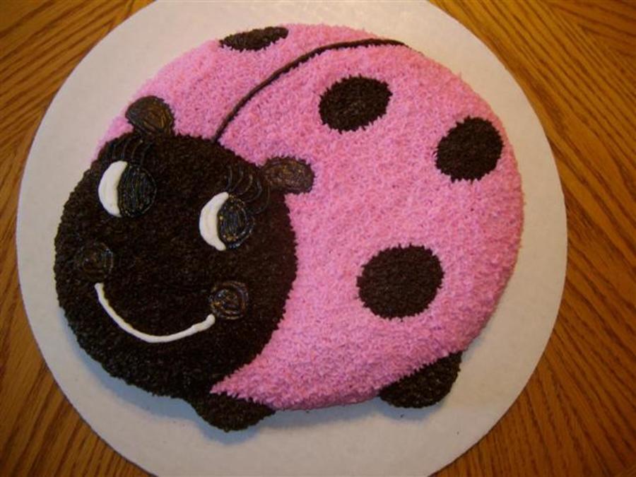 Ladybug Cake - CakeCentral.com