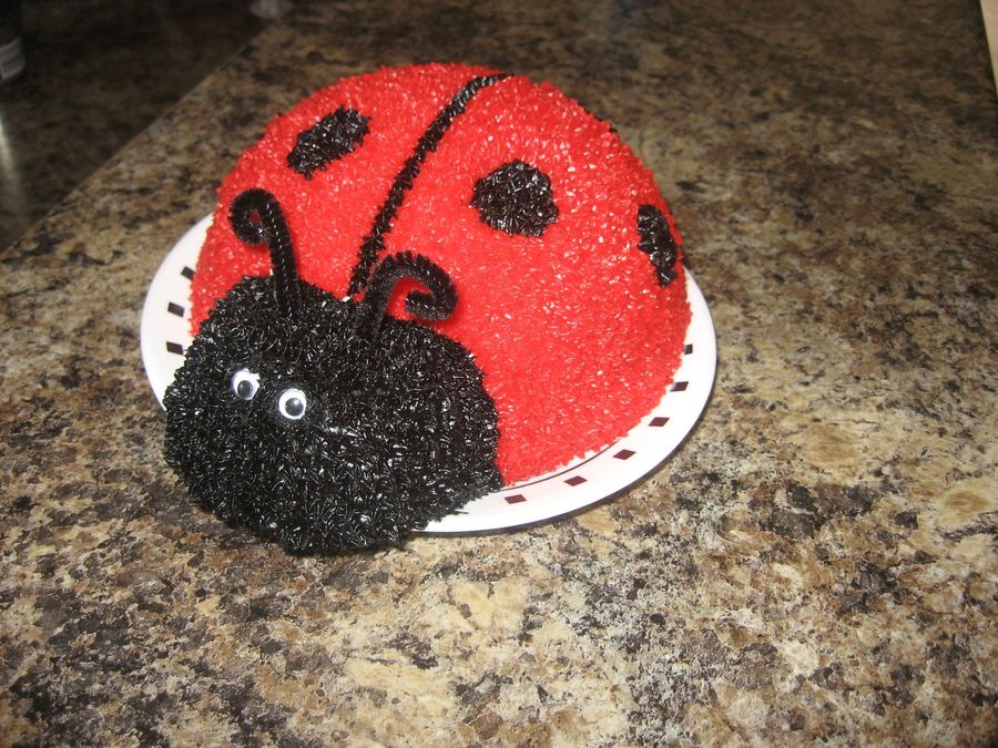 Ladybug Smash Cake - CakeCentral.com