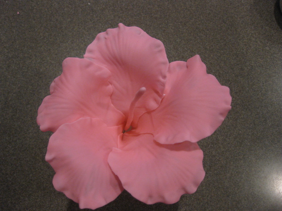 Hibiscus! - CakeCentral.com