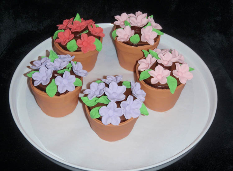 Flower Pot Mini Cakes! - CakeCentral.com
