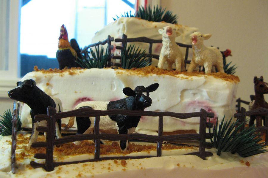 Farmyard Birthday Cake - CakeCentral.com