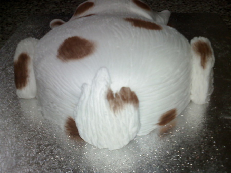 Rabbit - CakeCentral.com