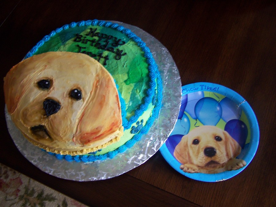 Lab Cake - CakeCentral.com