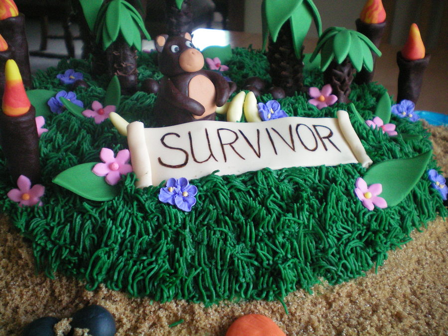 Survivor Cake - CakeCentral.com