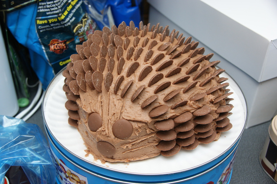 Chocolate Hedgehog Cake - CakeCentral.com