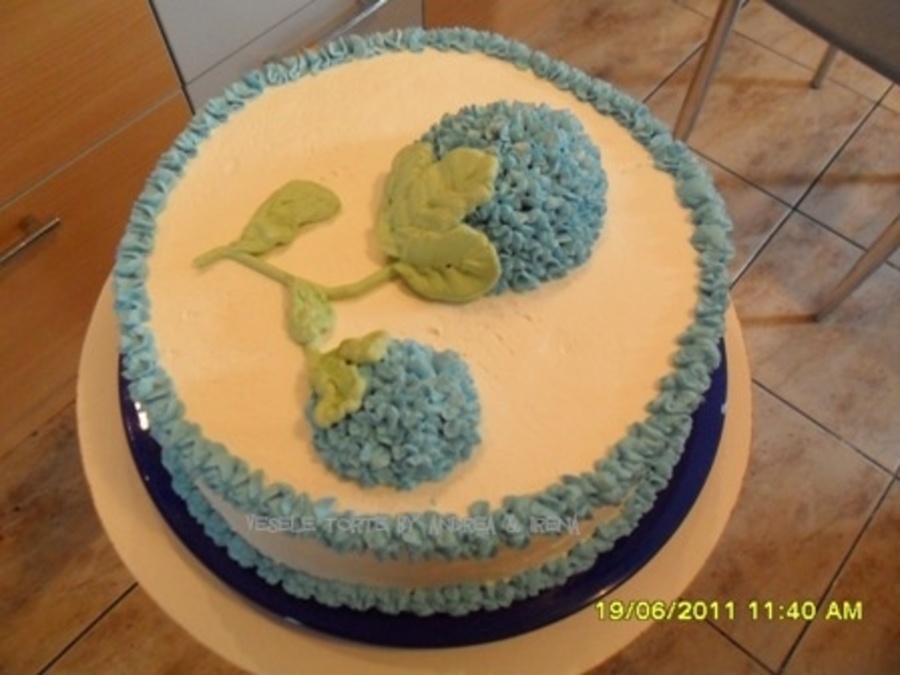 Hortenzija Hydrangea - CakeCentral.com