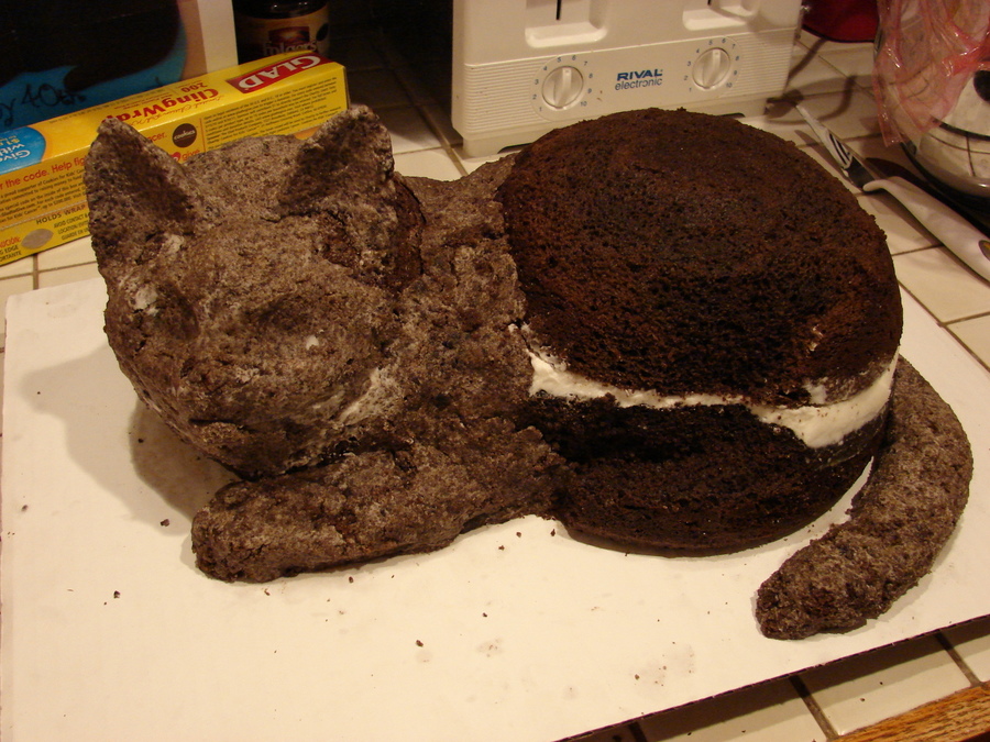 Kitty And His Litter Box Of Memories - CakeCentral.com