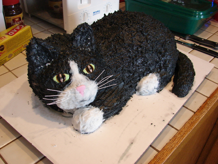 Kitty And His Litter Box Of Memories - CakeCentral.com