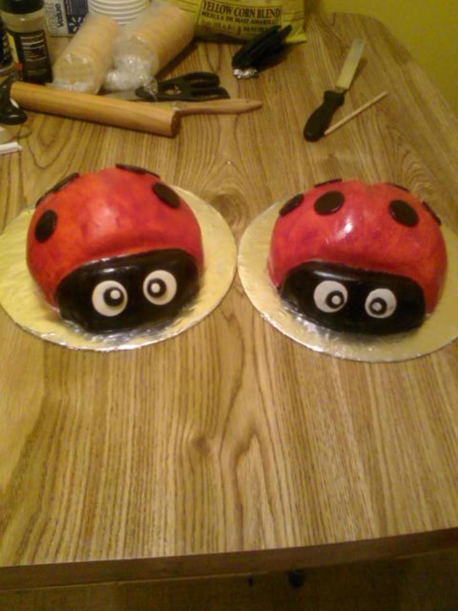Two Lady Bugs - CakeCentral.com