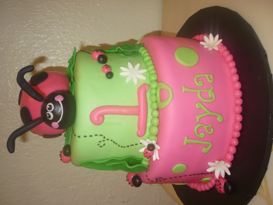 Ladybug Cake - CakeCentral.com