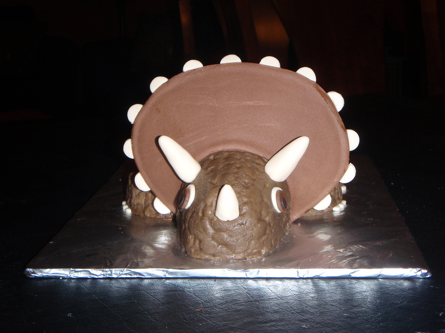 Triceratops Cake - CakeCentral.com