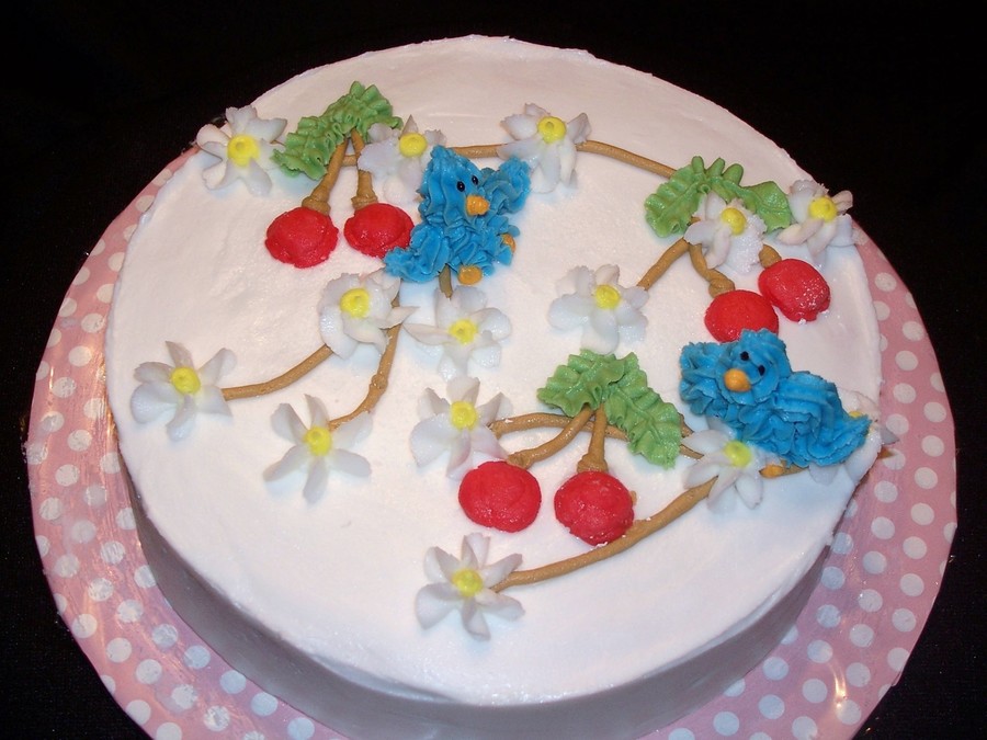 Wilton Course 1 Final - CakeCentral.com