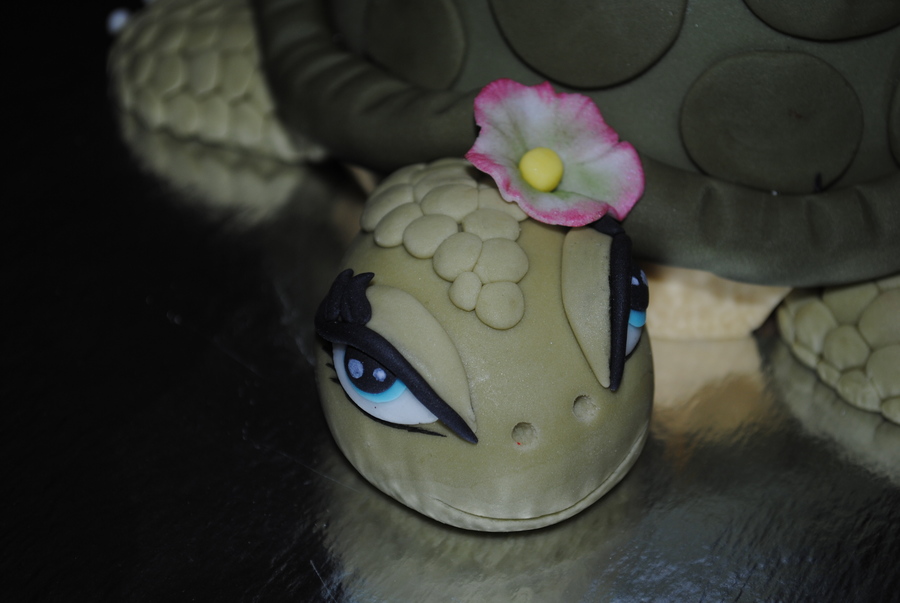 Girly Turtle Birthday Cake - CakeCentral.com