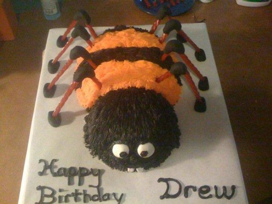 Spider Birthday Cake - CakeCentral.com