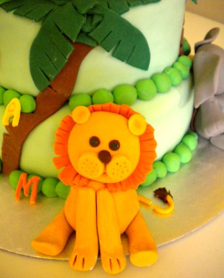 African Animals - Big Five - CakeCentral.com