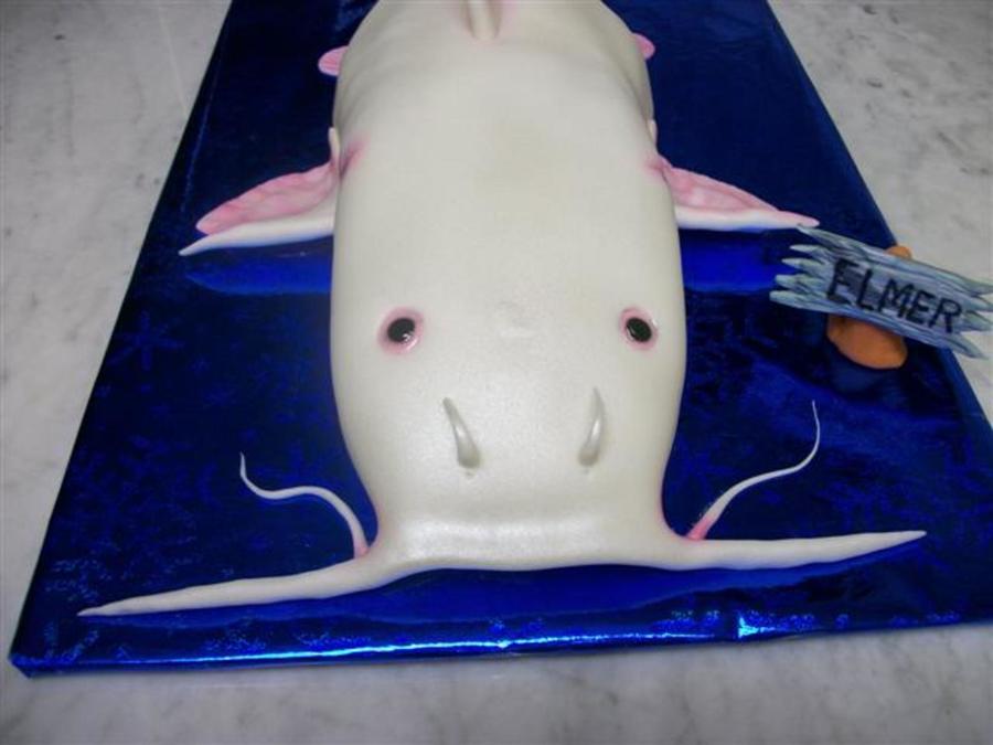 Elmer The Albino Catfish - CakeCentral.com