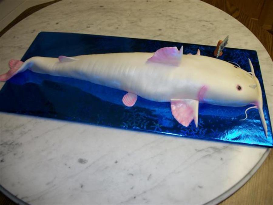 Elmer The Albino Catfish - CakeCentral.com