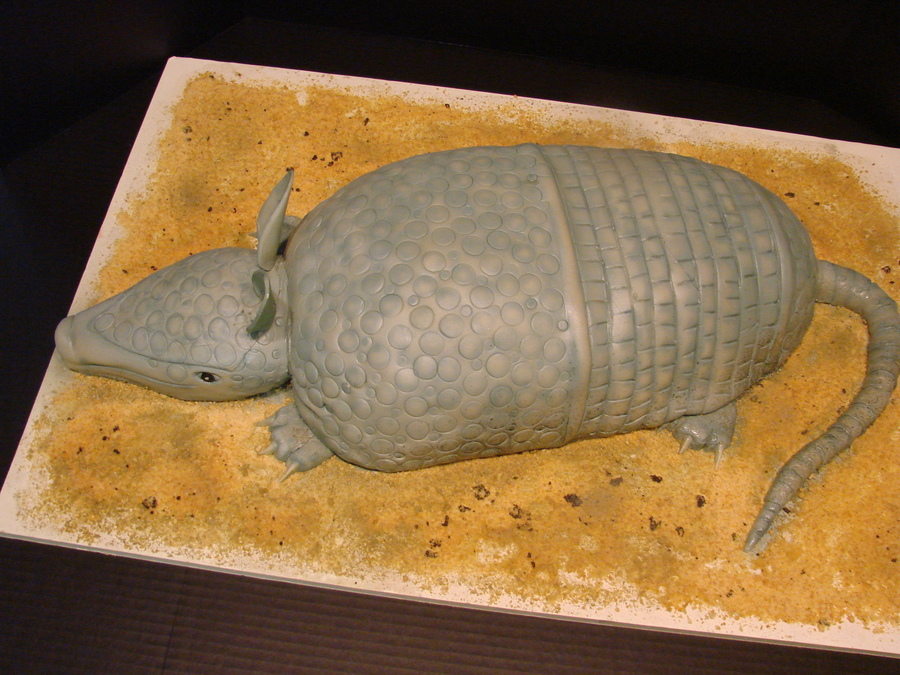 Armadillo Birthday Cake - CakeCentral.com