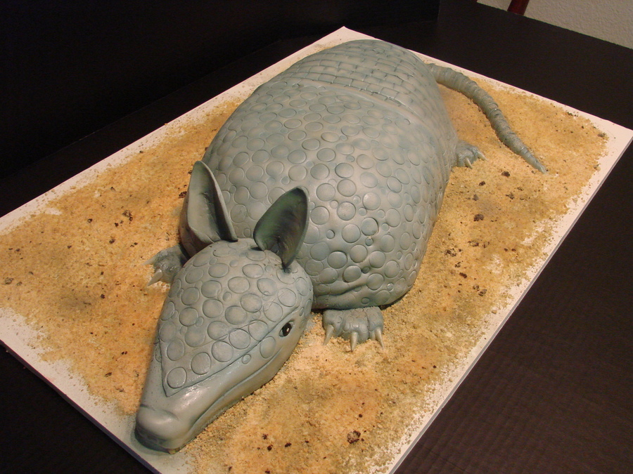 Armadillo Birthday Cake - CakeCentral.com