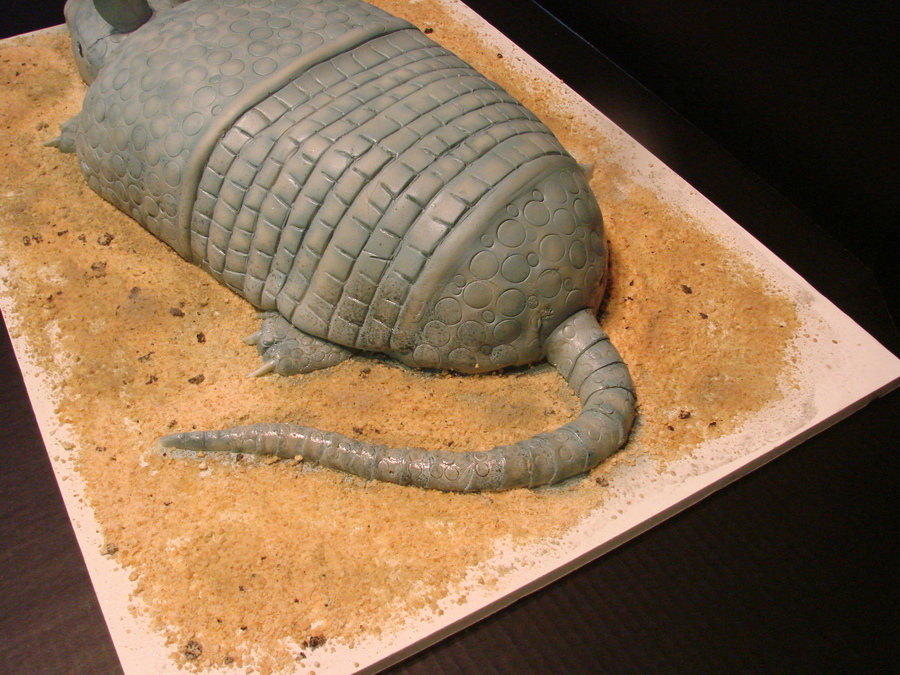Armadillo Birthday Cake - CakeCentral.com