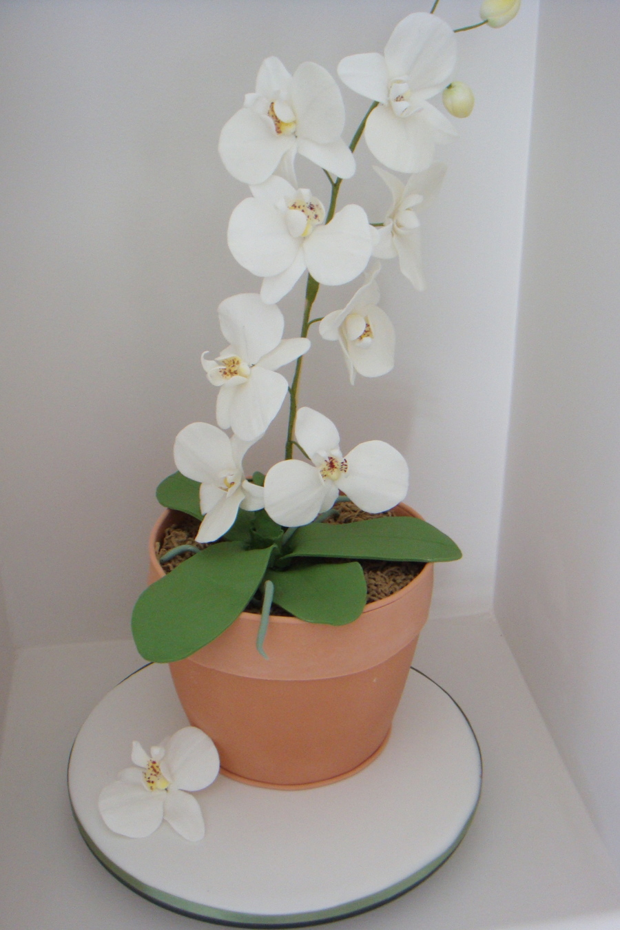 Oma's Orchids - CakeCentral.com