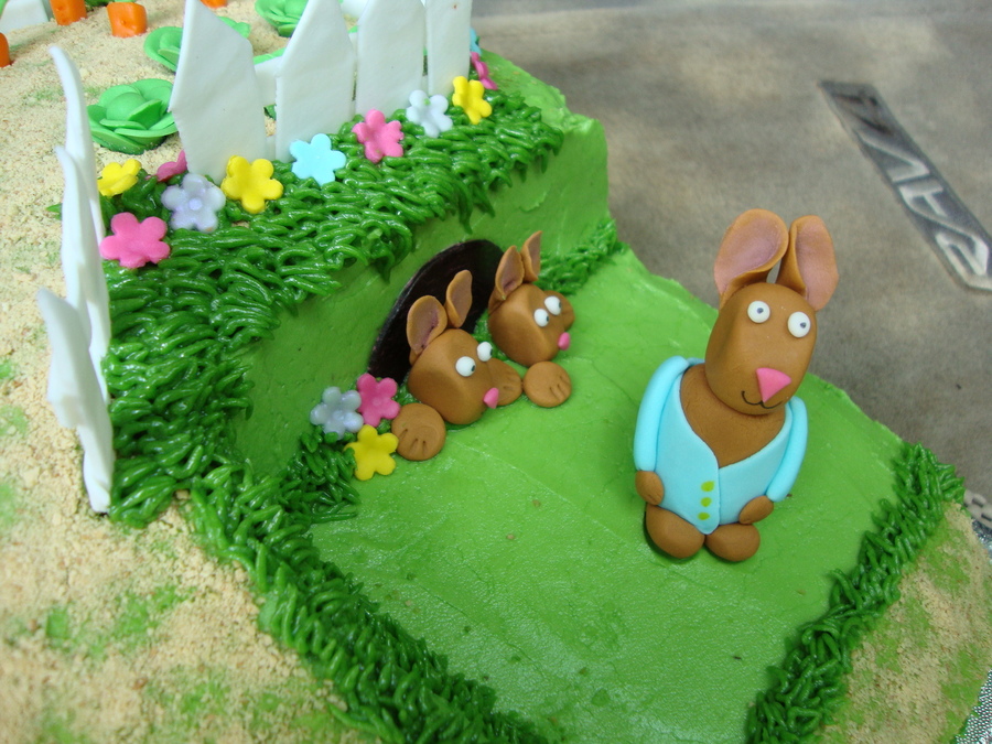 Peter Rabbit Birthday Cake - CakeCentral.com