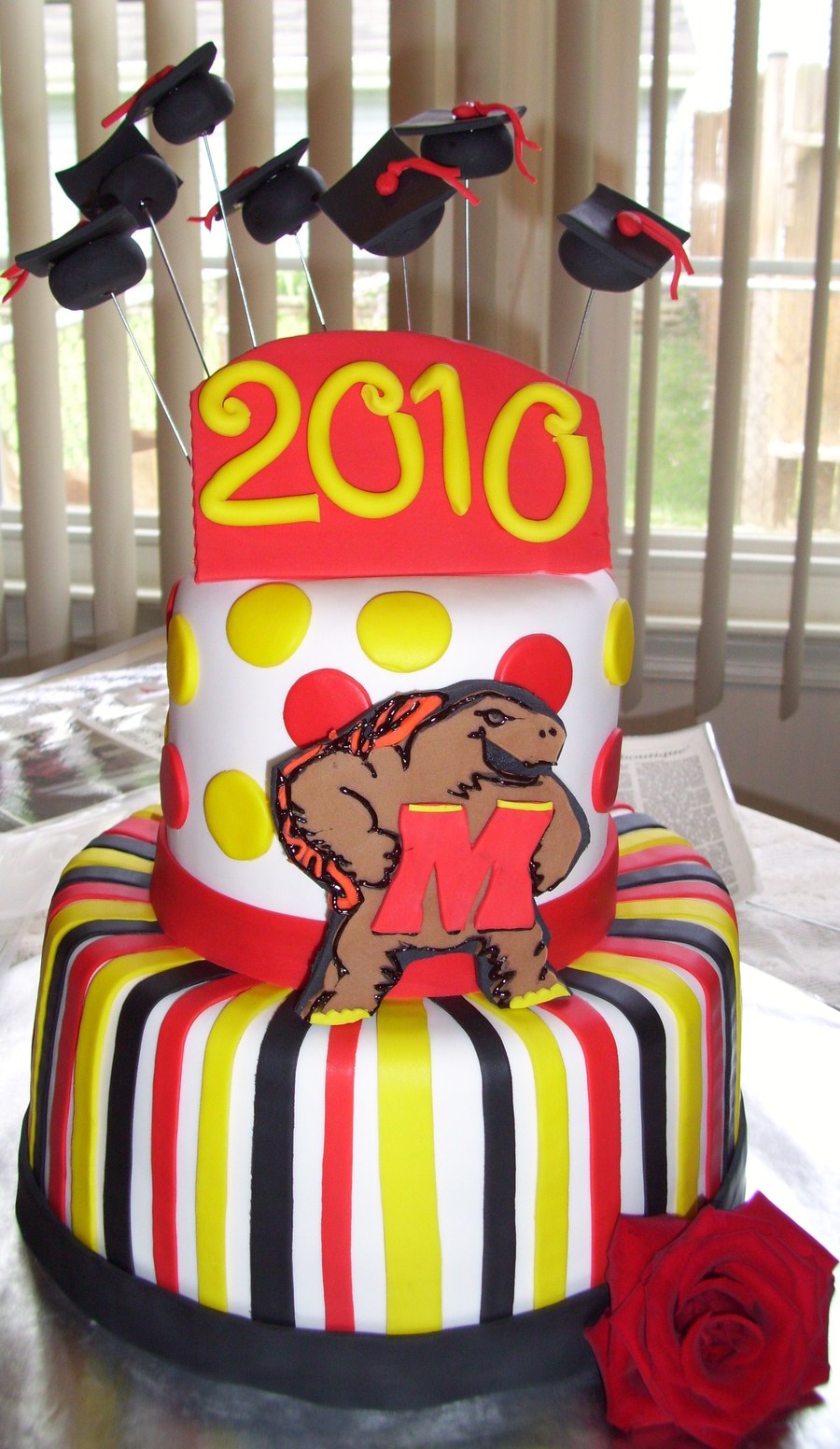 Maryland Terps Grad Cake - CakeCentral.com
