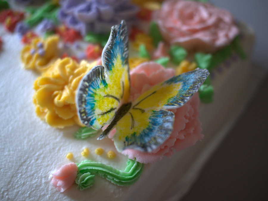 Butterfly Theme Birthday Cake - CakeCentral.com