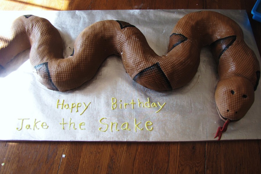 Snake Cake - CakeCentral.com